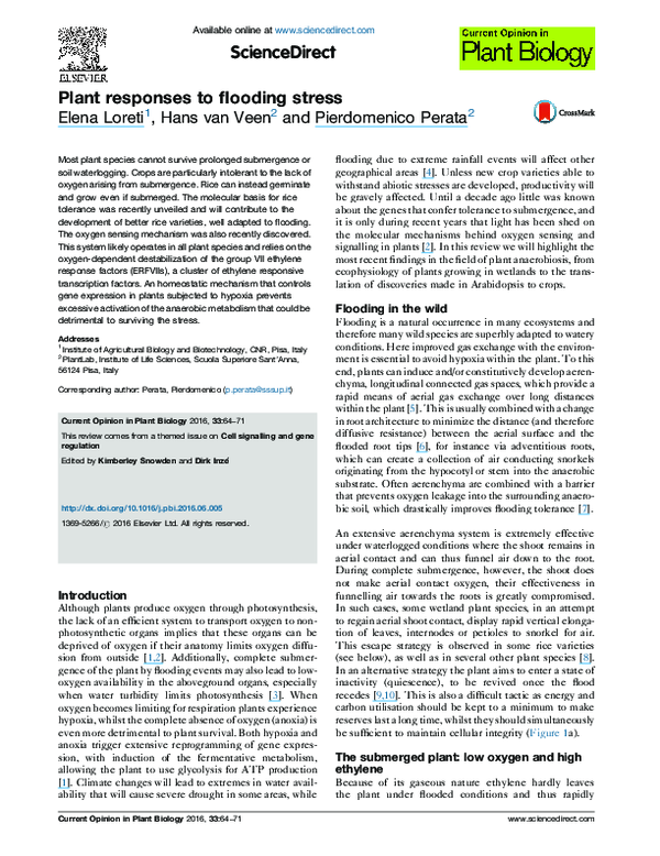 (PDF) Plant responses to flooding stress