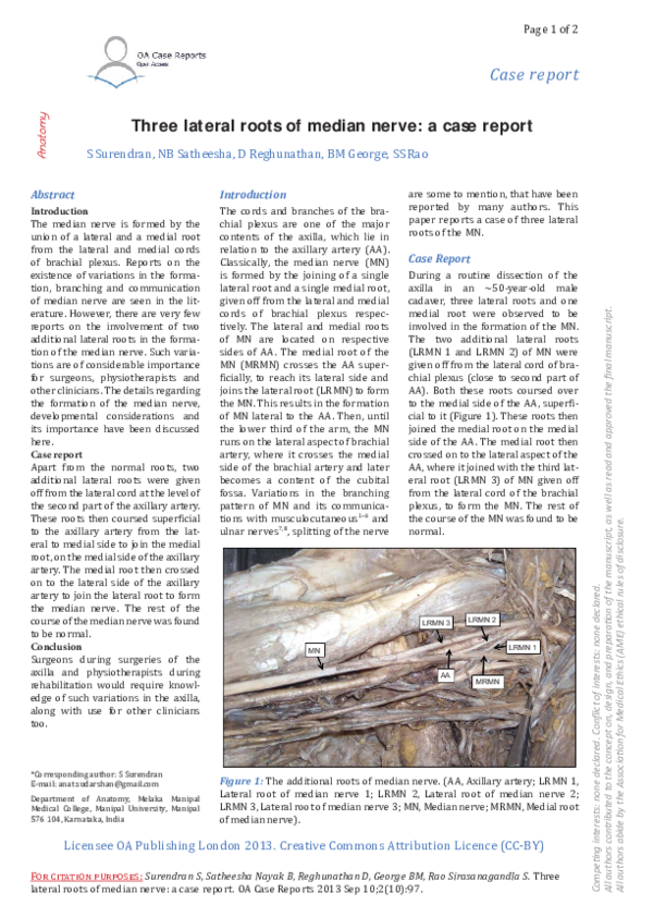 (PDF) Three lateral roots of median nerve: A case report