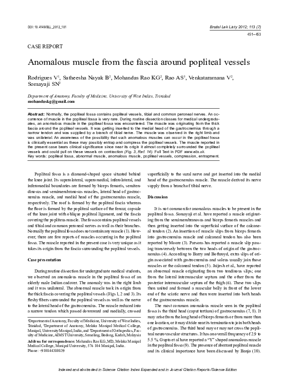 (PDF) Anomalous muscle from the fascia around popliteal vessels