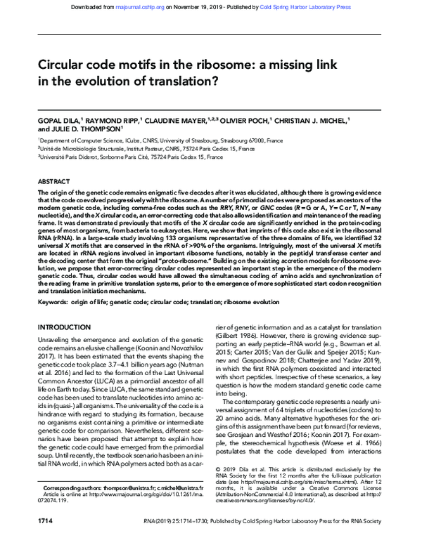 (PDF) Circular code motifs in the ribosome: a missing link in the ...