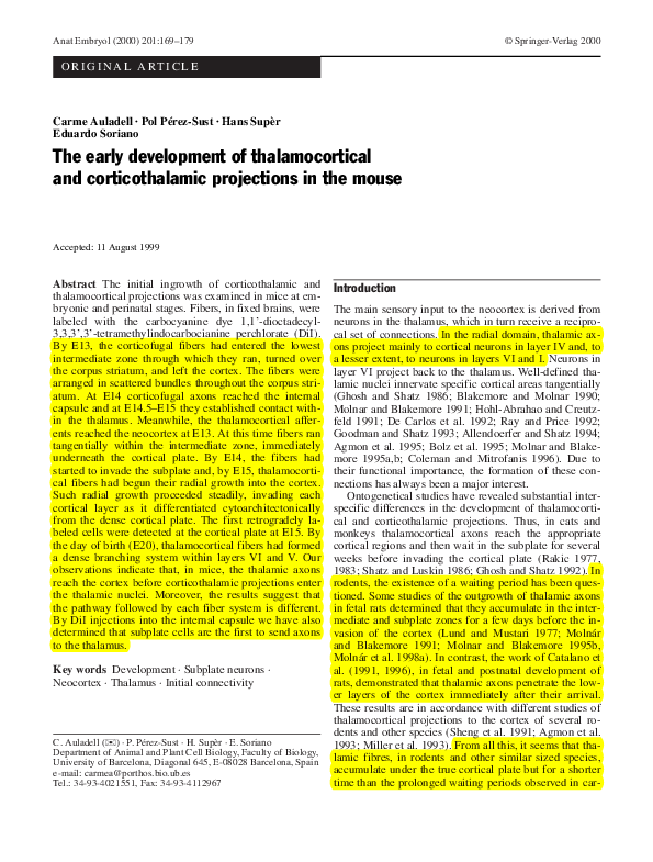 (PDF) The early development of thalamocortical and corticothalamic ...