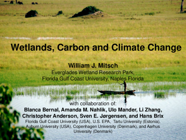 (PDF) Wetlands, carbon, and climate change