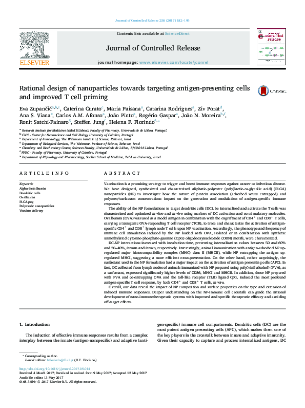 Pdf Rational Design Of Nanoparticles Towards Targeting Antigen