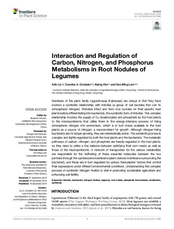 (PDF) Interaction and Regulation of Carbon, Nitrogen, and Phosphorus Metabolisms in Root Nodules ...