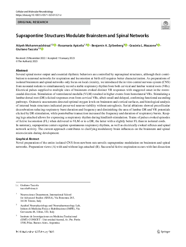 (PDF) Suprapontine Structures Modulate Brainstem and Spinal Networks | Graciela Lujan Mazzone ...