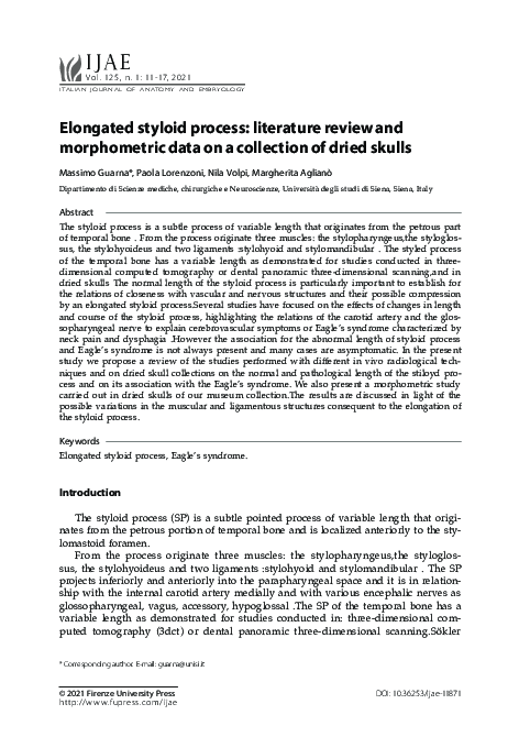 (PDF) Elongated styloid process: literature review and morphometric ...