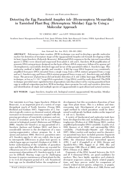 (PDF) Detecting the Egg Parasitoid Anaphes iole (Hymenoptera: Mymaridae) in Tarnished Plant Bug ...