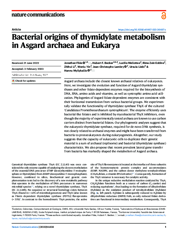 (PDF) Bacterial origins of thymidylate metabolism in Asgard archaea and ...