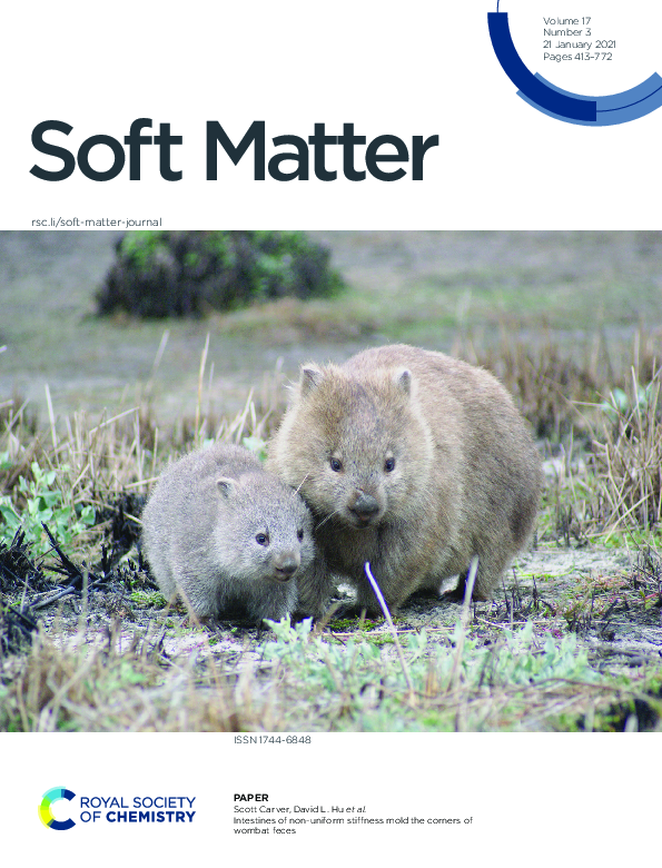 (PDF) Intestines of non-uniform stiffness mold the corners of wombat feces