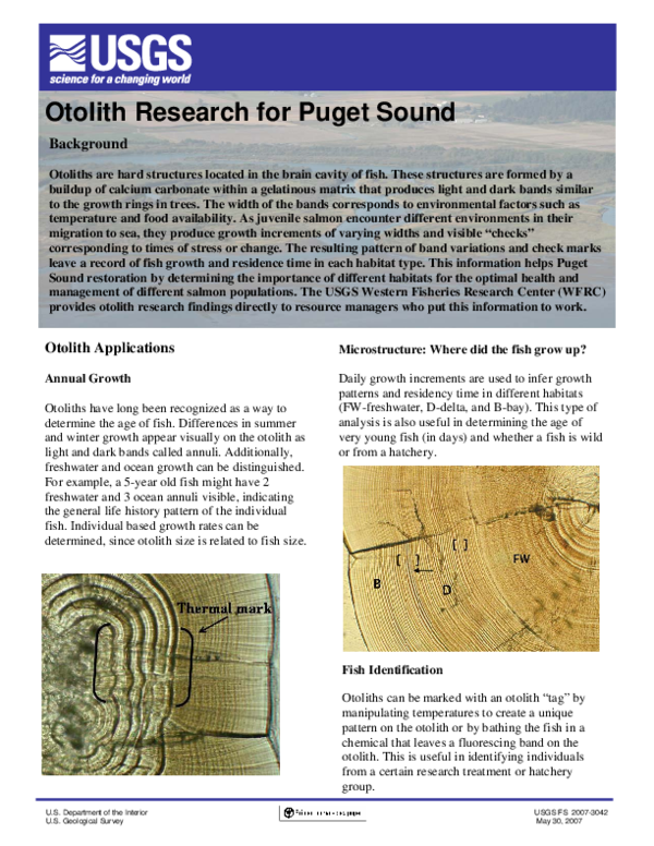(PDF) Otolith research for Puget Sound | Kimberly Larsen - Academia.edu