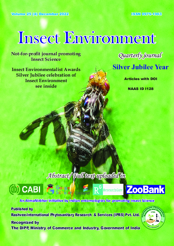 (PDF) Inflorescence looper Perixera illepidaria( Guenee) Lepidoptera ...