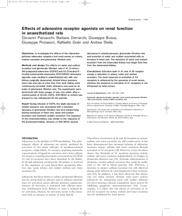 (PDF) Effects of adenosine receptor agonists on renal function in ...