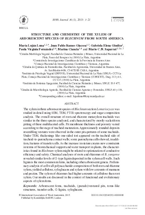 (PDF) Structure and Chemistry of the Xylem of Arborescent Species of ...
