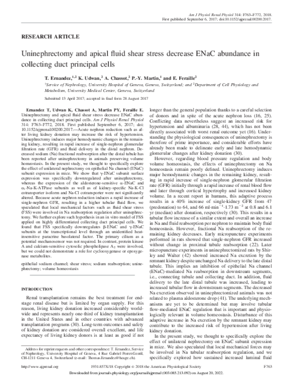 (PDF) Uninephrectomy and apical fluid shear stress decrease ENaC ...