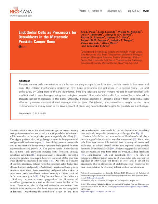 (PDF) Endothelial Cells as Precursors for Osteoblasts in the Metastatic ...
