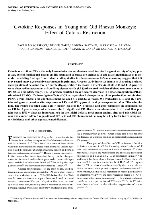 (PDF) Cytokine Responses in Young and Old Rhesus Monkeys: Effect of ...