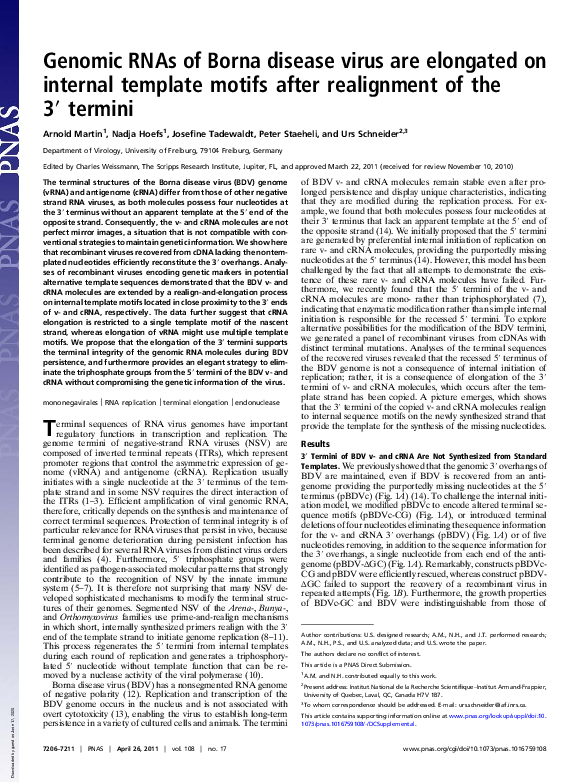 (PDF) Genomic RNAs of Borna disease virus are elongated on internal ...