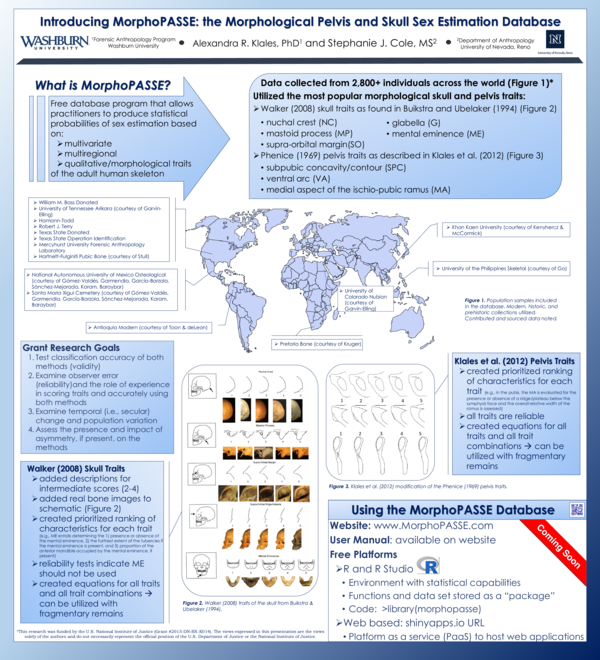 Pdf Introducing Morphopasse The Morphological Pelvis And Skull Sex Estimation Database