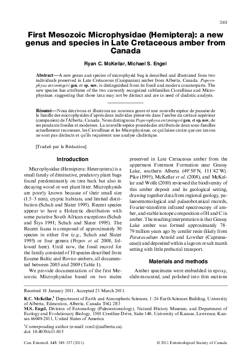 (PDF) First Mesozoic Microphysidae (Hemiptera): a new genus and species ...
