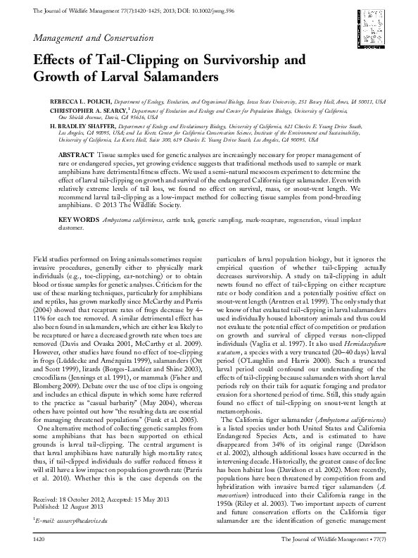 (PDF) Effects of tail-clipping on survivorship and growth of larval ...