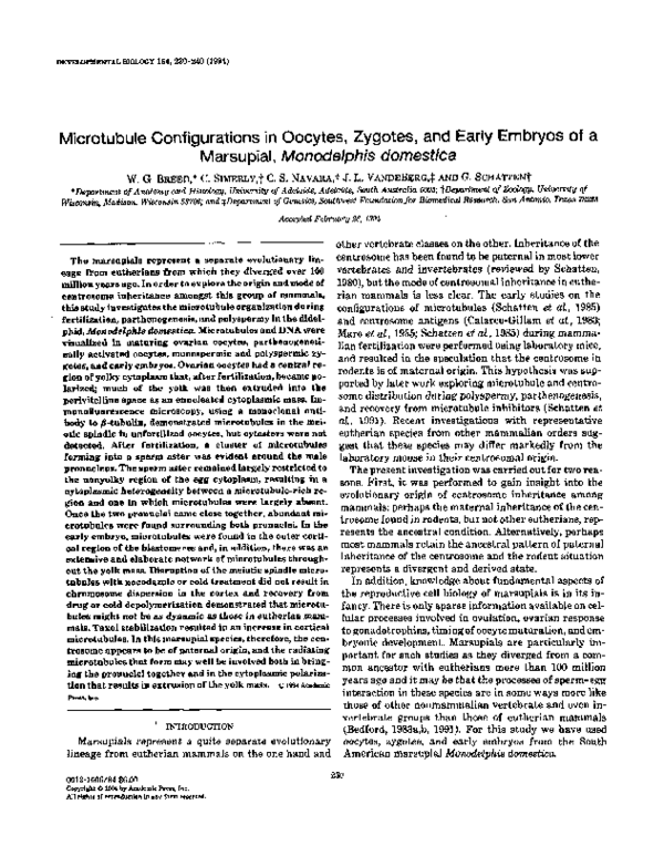 (PDF) Microtubule Configurations in Oocytes, Zygotes, and Early Embryos ...