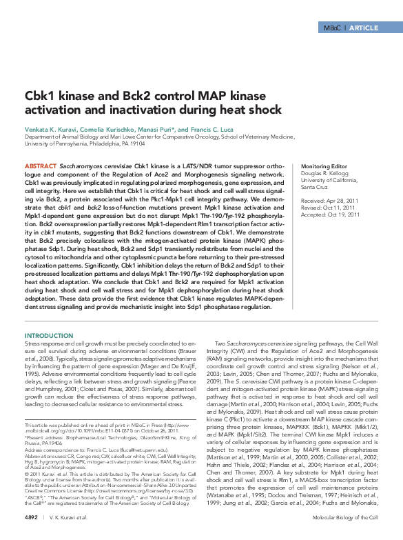 (PDF) Cbk1 kinase and Bck2 control MAP kinase activation and inactivation during heat shock