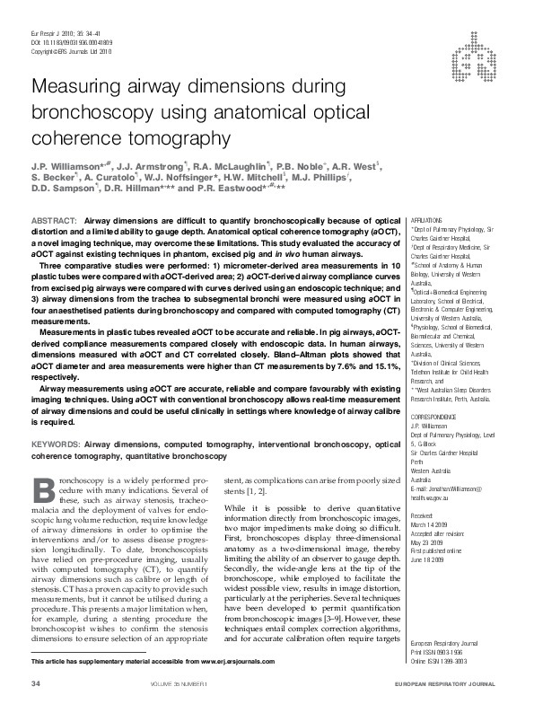 (PDF) Measuring airway dimensions during bronchoscopy using anatomical ...