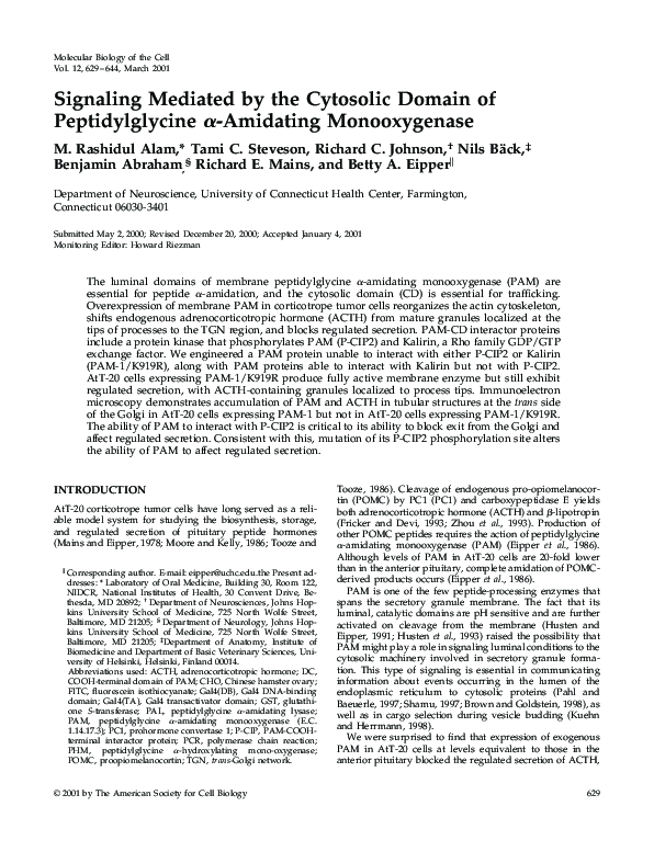 (PDF) Signaling Mediated by the Cytosolic Domain of Peptidylglycine α ...