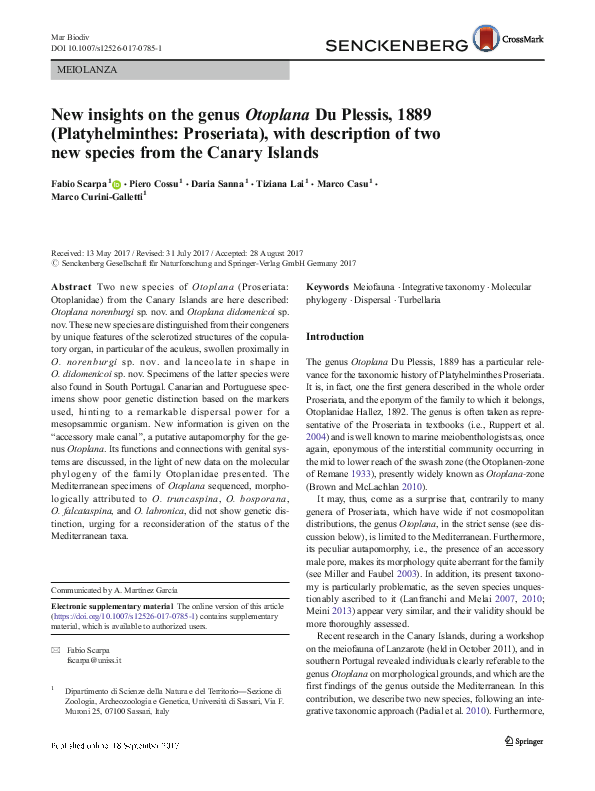 (PDF) New insights on the genus Otoplana Du Plessis, 1889 ...