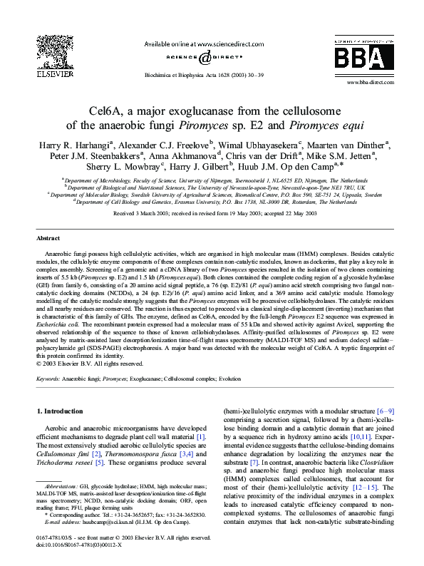 (PDF) Cel6A, a major exoglucanase from the cellulosome of the anaerobic ...