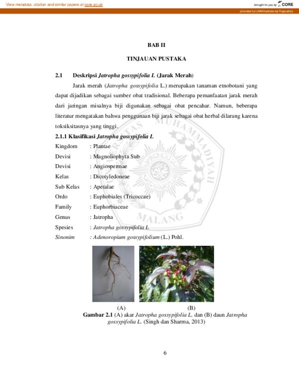 (PDF) UJI AKTIVITAS ANTIBAKTERI FRAKSI ETIL ASETAT AKAR JARAK MERAH ...