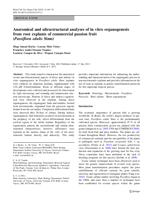 (PDF) Anatomical and ultrastructural analyses of in vitro organogenesis from root explants of ...
