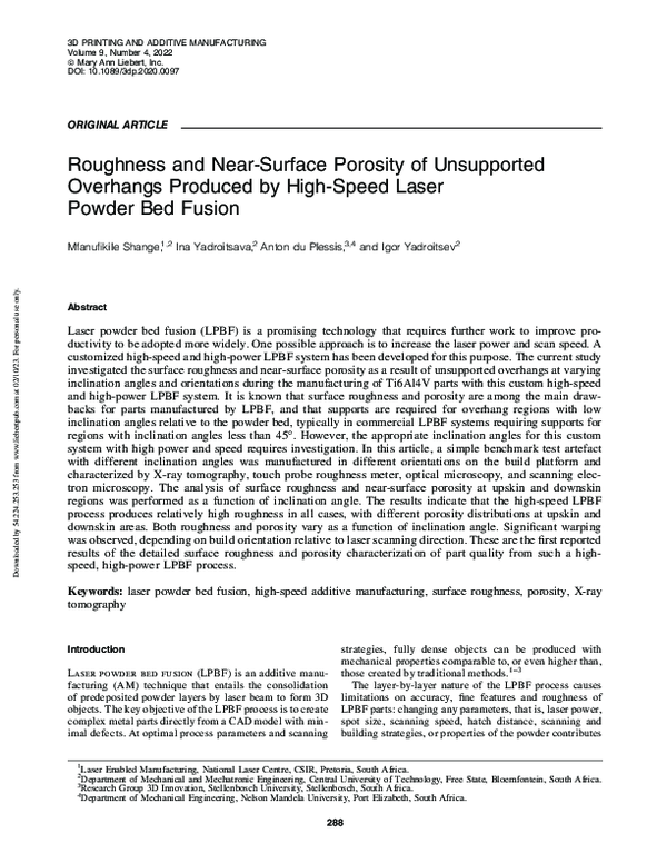 (PDF) Roughness and Near-Surface Porosity of Unsupported Overhangs ...