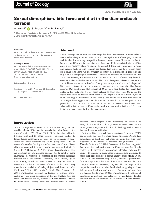 (PDF) Sexual dimorphism, bite force and diet in the diamondback terrapin