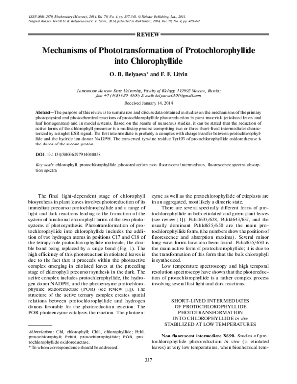 (PDF) Phototransformation Pathways of Protochlorophyllide