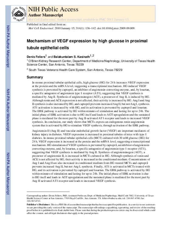 (PDF) Mechanism of VEGF expression by high glucose in proximal tubule ...