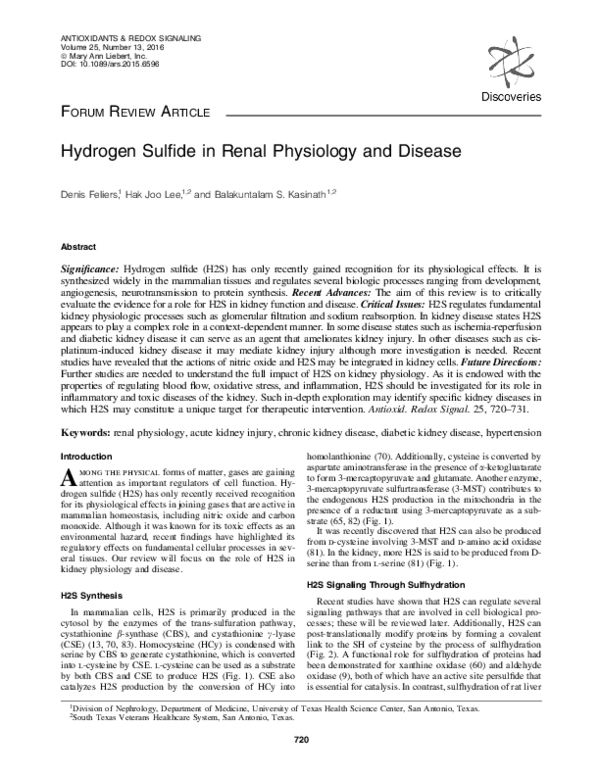 (PDF) Hydrogen sulfide in renal physiology and disease