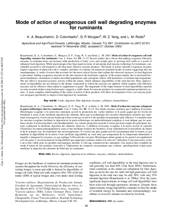 (PDF) Mode of action of exogenous cell wall degrading enzymes for ruminants