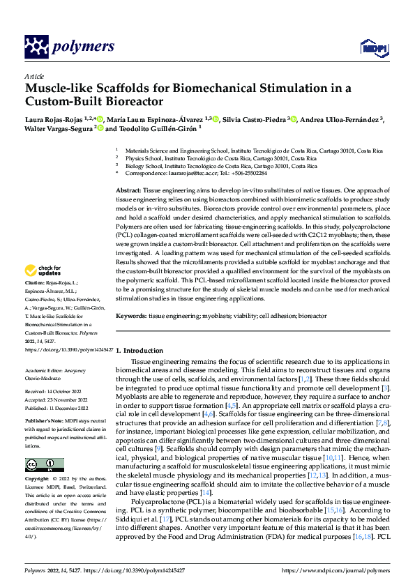 (PDF) Muscle-like Scaffolds for Biomechanical Stimulation in a Custom ...