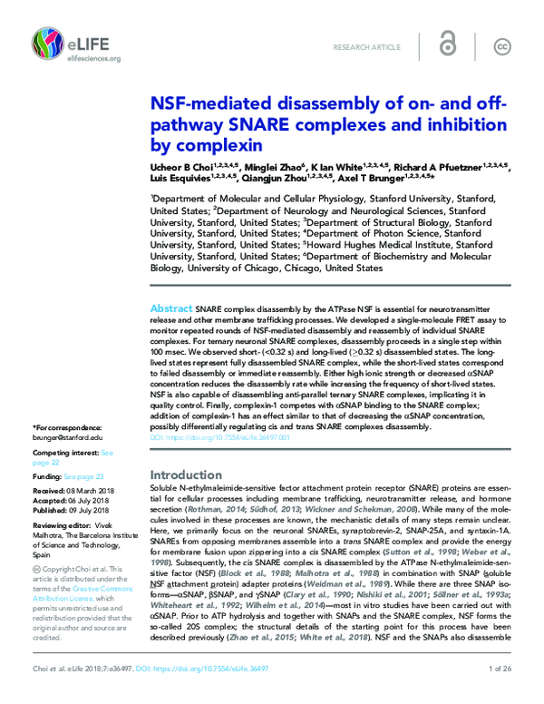 (PDF) NSF-mediated disassembly of on and off-pathway SNARE complexes and inhibition by complexin