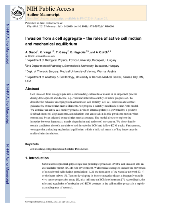 (PDF) Active Cell Motion and Equilibrium in Cell Invasion Dynamics