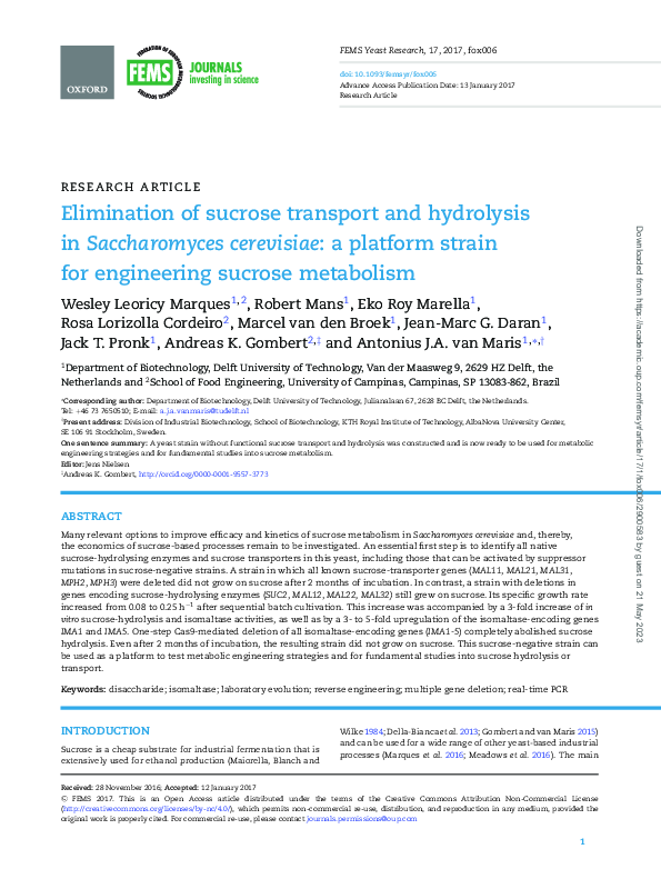 (PDF) Elimination of sucrose transport and hydrolysis in Saccharomyces ...