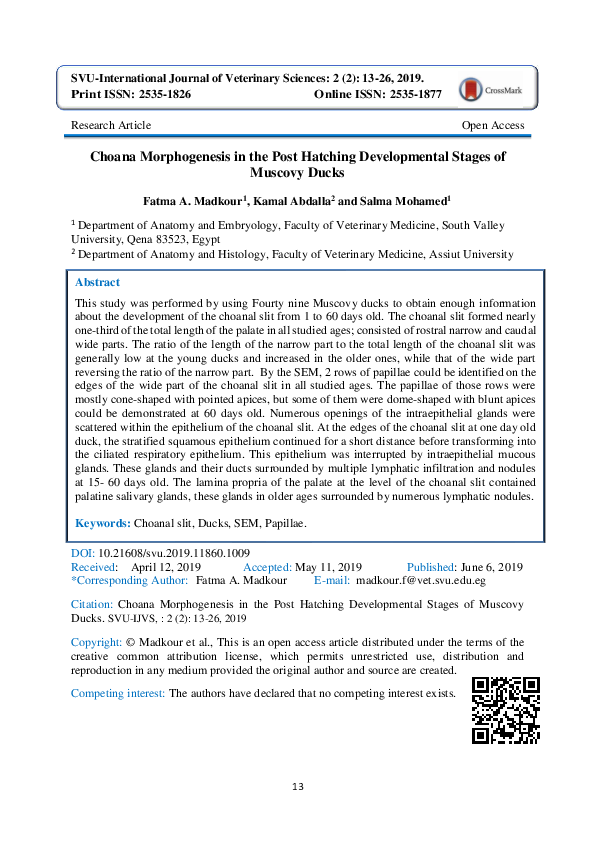 (PDF) Choana Morphogenesis in Developmental Stages of Muscovy Ducks