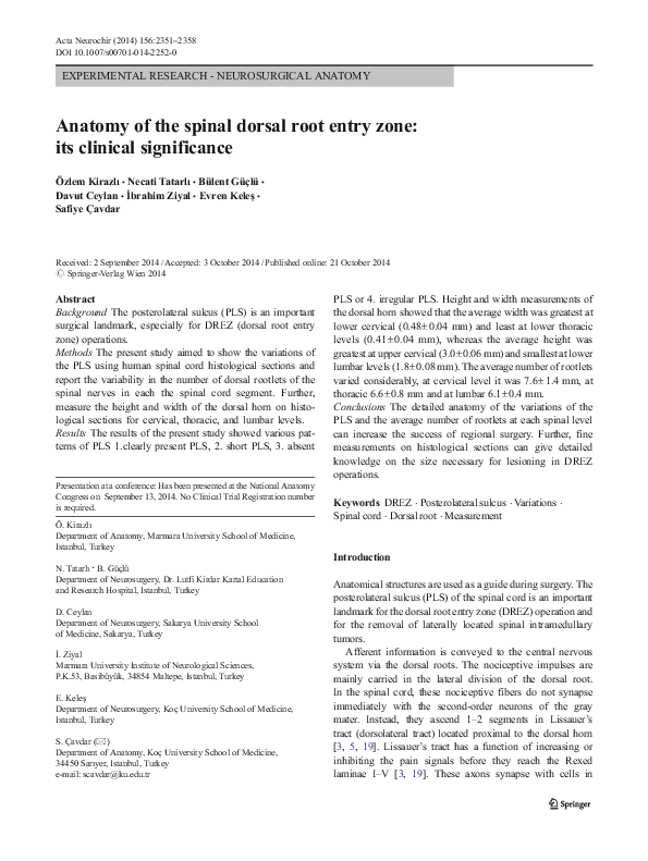 (PDF) Anatomy of the spinal dorsal root entry zone: its clinical significance