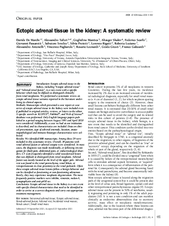 (PDF) Ectopic adrenal tissue in the kidney: A systematic review