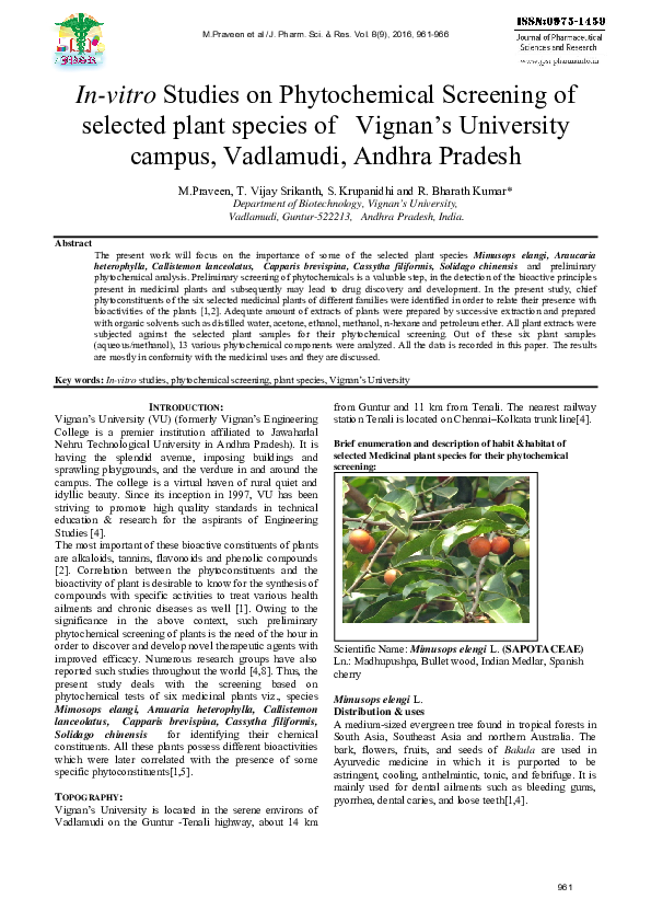 (PDF) In Vitro Studies on Phytochemical Screening of Different Leaf Extracts and Their ...