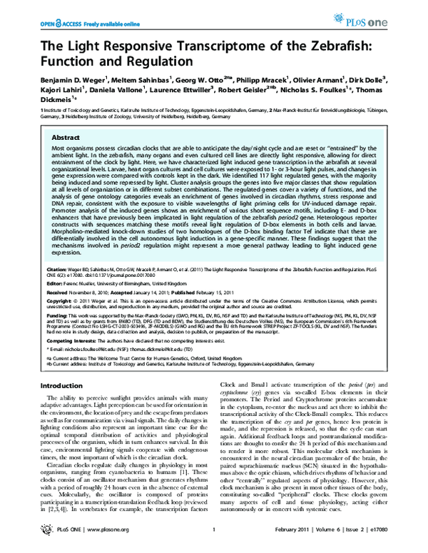 (PDF) The Light Responsive Transcriptome of the Zebrafish: Function and ...