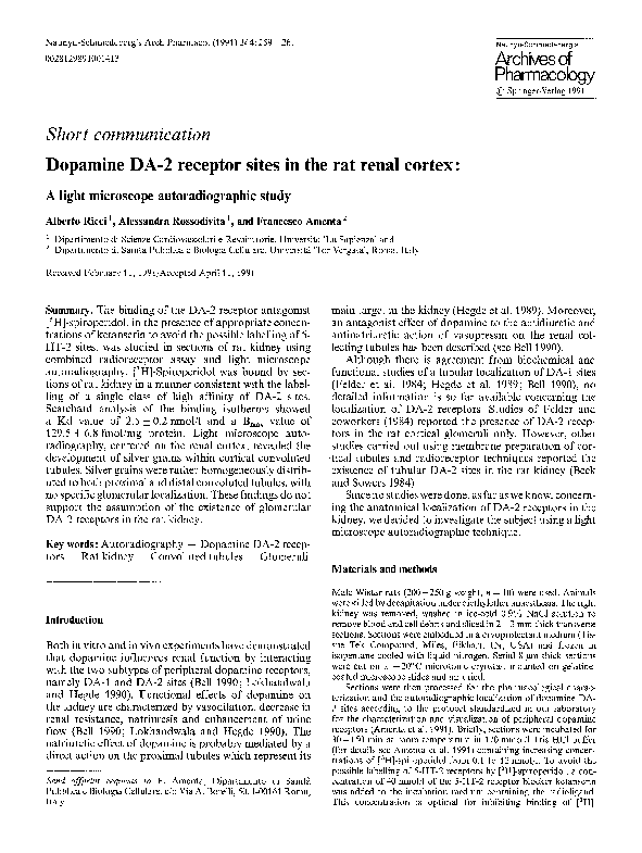 (PDF) Dopamine DA-2 receptor sites in the rat renal cortex: A light ...
