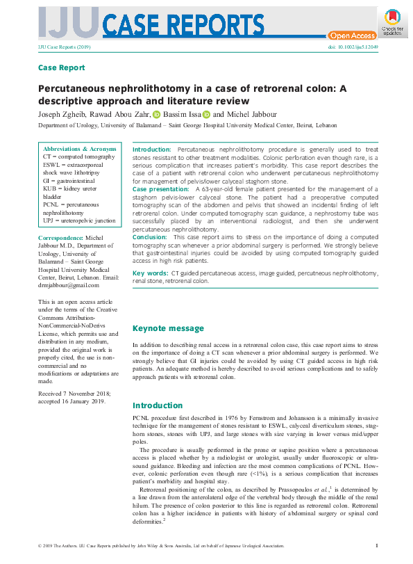 (PDF) Percutaneous nephrolithotomy in a case of retrorenal colon: A ...