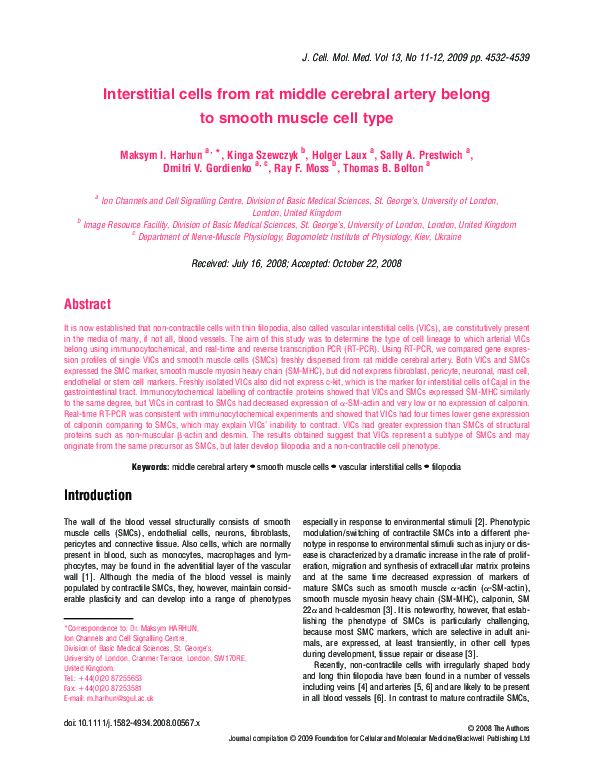 (PDF) Interstitial cells from rat middle cerebral artery belong to ...